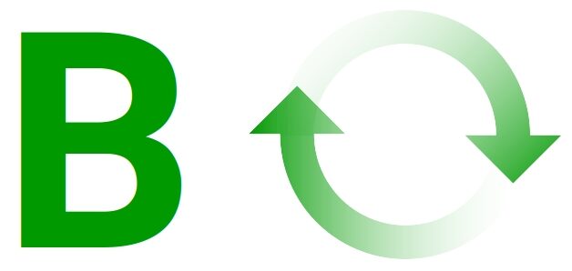 B-RING: Burgerpartij van Rede en Innovatie voor Natuur en Geluk – B ...